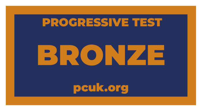 Progressive Awards | The Pony Club UK