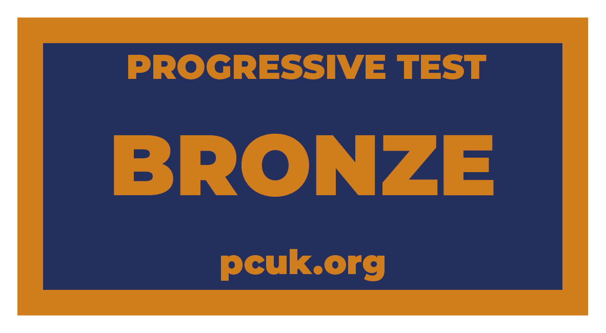 Progressive Awards | The Pony Club UK