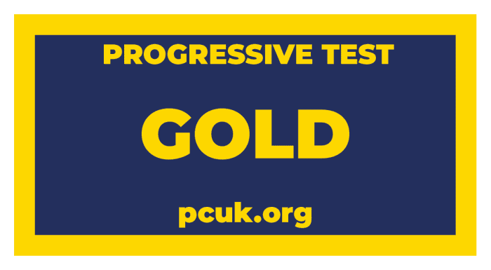 Progressive Awards | The Pony Club UK