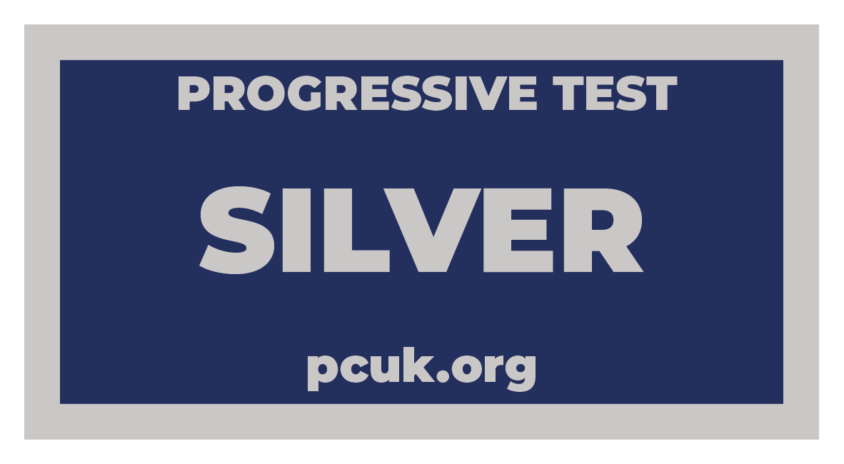 Progressive Awards | The Pony Club UK