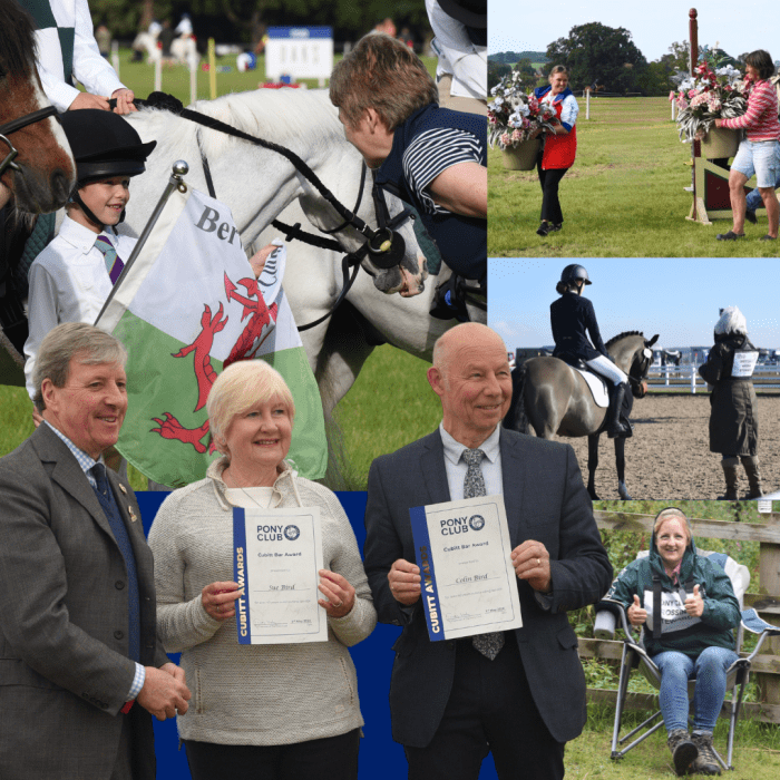 Volunteer Awards - 2024 Recipients and How To Nominate For 2025! 🎉 | The Pony Club UK