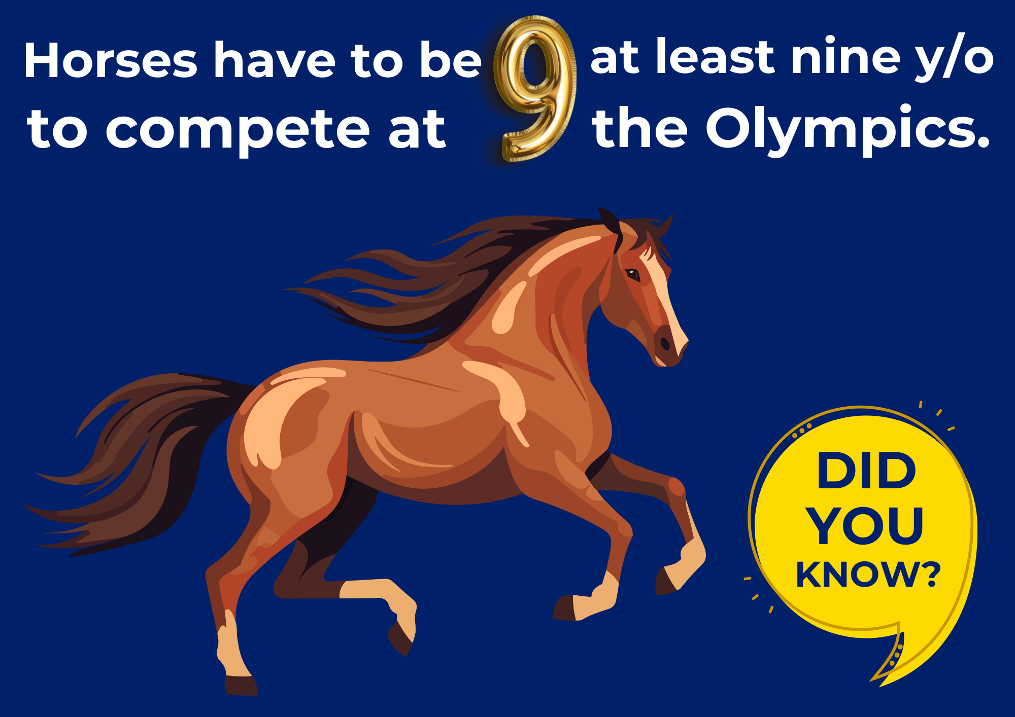 Fun Facts about Equestrian Sport at the Olympics | The Pony Club UK