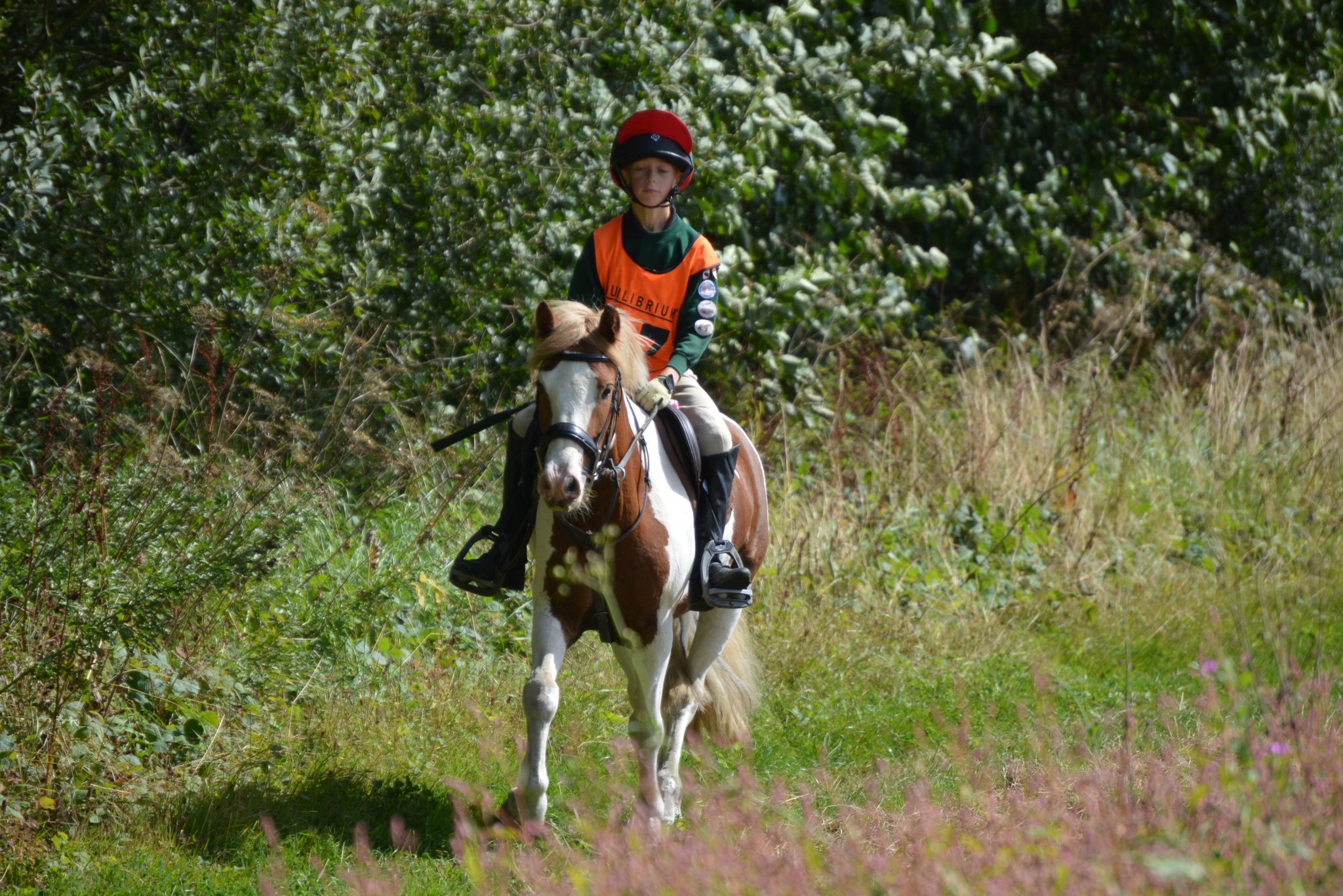 Home | The Pony Club UK