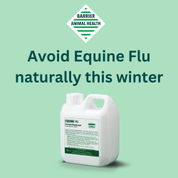 Home | The Pony Club UK