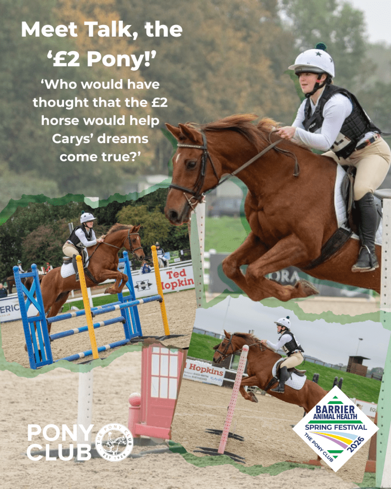 Home | The Pony Club UK