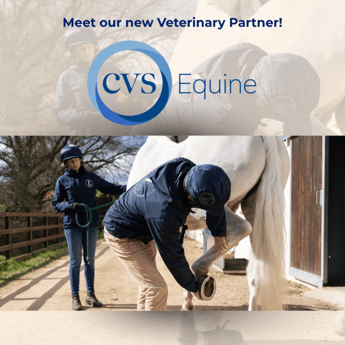CVS Equine Vets - Veterinary Partner for The Pony Club | The Pony Club UK
